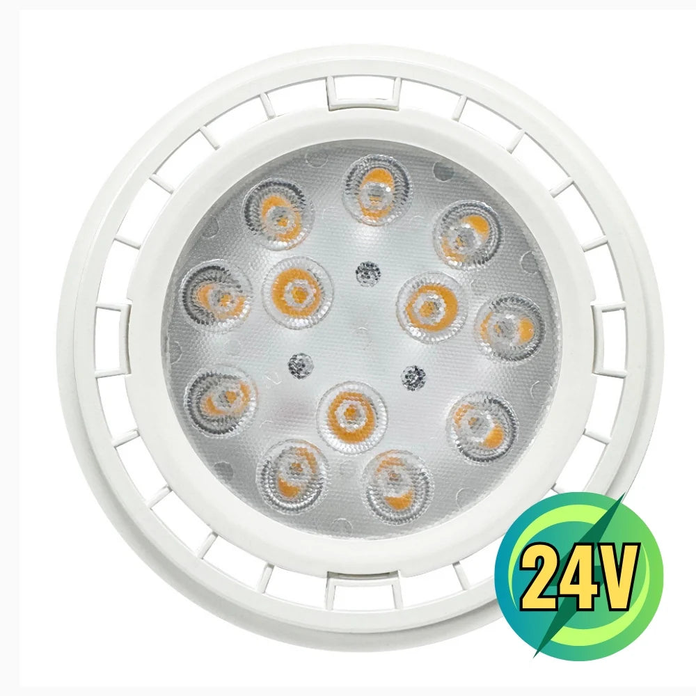 PAR36 12W DC24V Low Voltage 60° Outdoor Landscape LED Bulbs Waterproof
