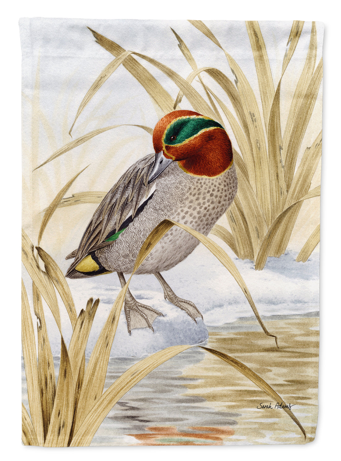 Eurasian Teal Duck Garden Flag – Decorative Outdoor Yard Flag ASA2059G