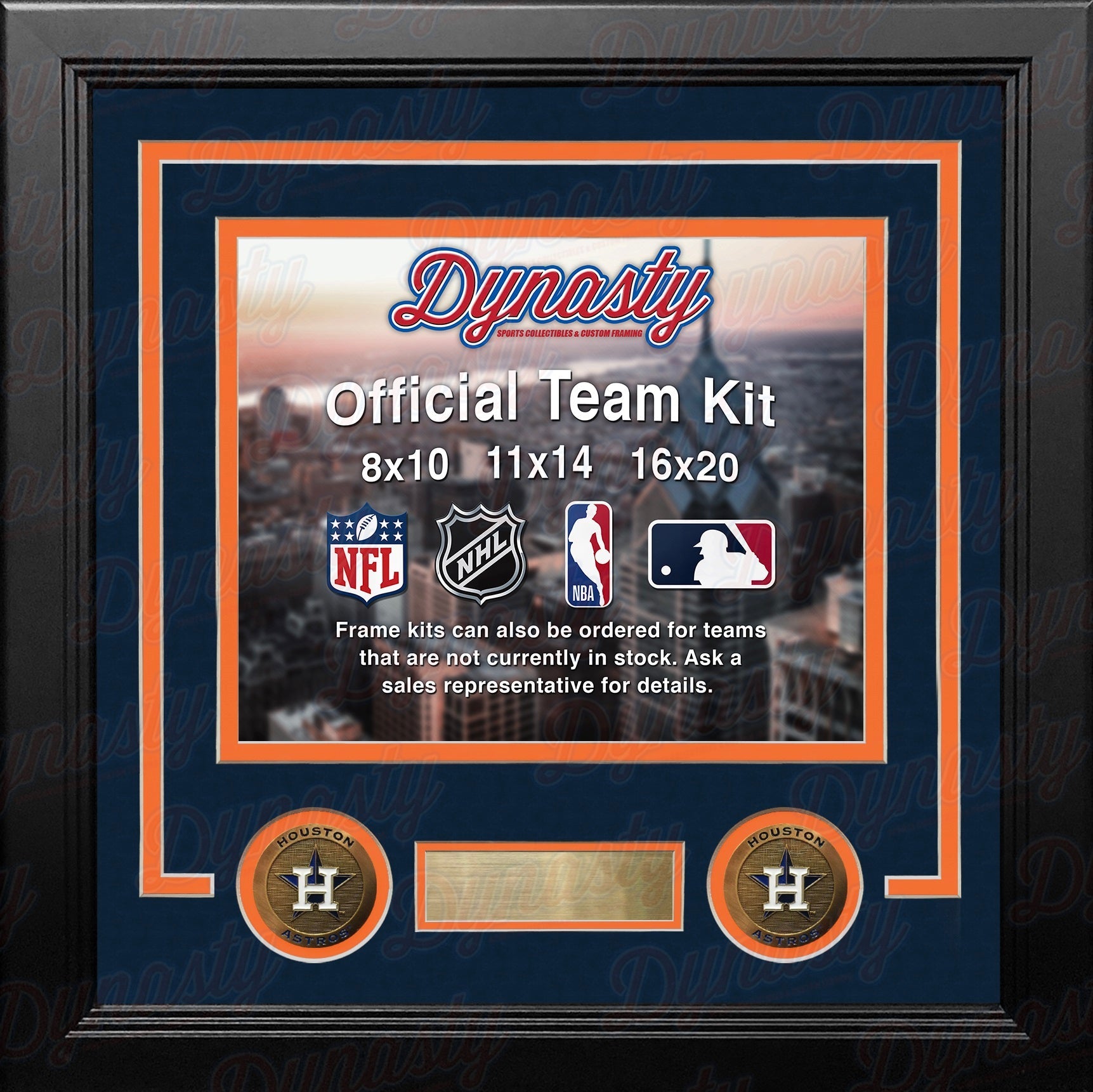 Houston Astros Custom MLB Baseball 16x20 Picture Frame Kit (Multiple C