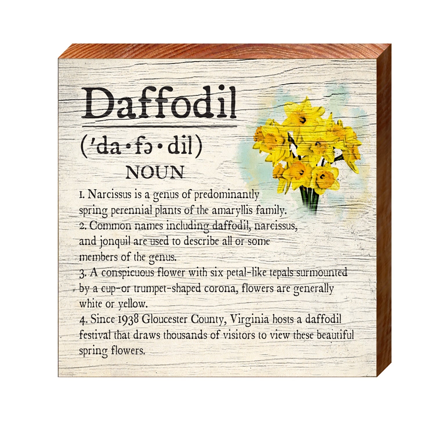 Daffodil Definition Wooden Sign | Wall Art Print on Real Wood | Home D