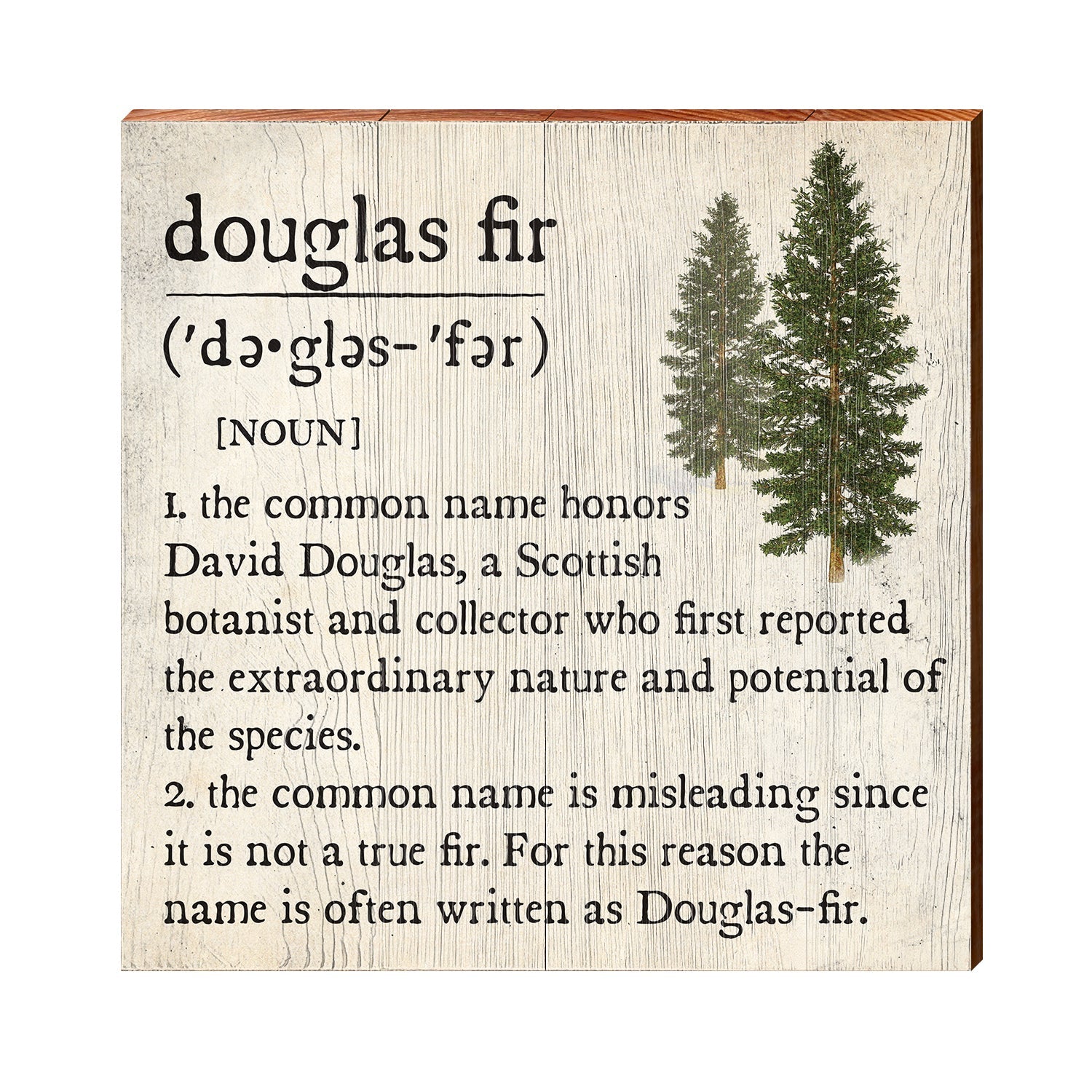 Douglas Fir Tree Definition Wooden Sign | Wall Art Print on Real Wood