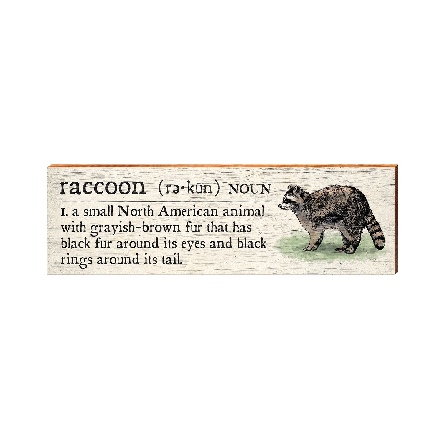 Raccoon Definition Wooden Sign | Wall Art Print on Real Wood | Mountai
