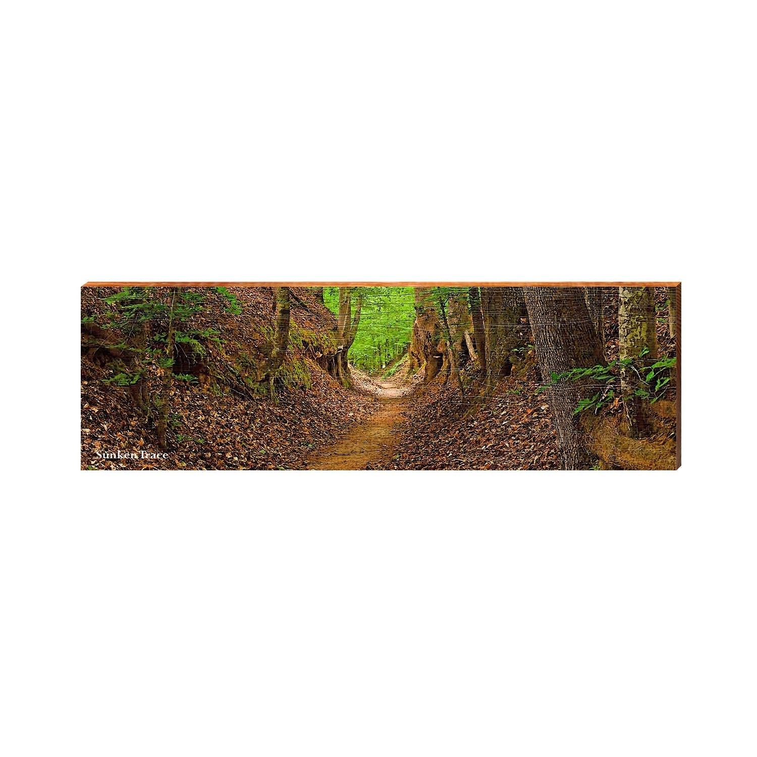 Sunken Trace Sign | Real Art Print on Wood