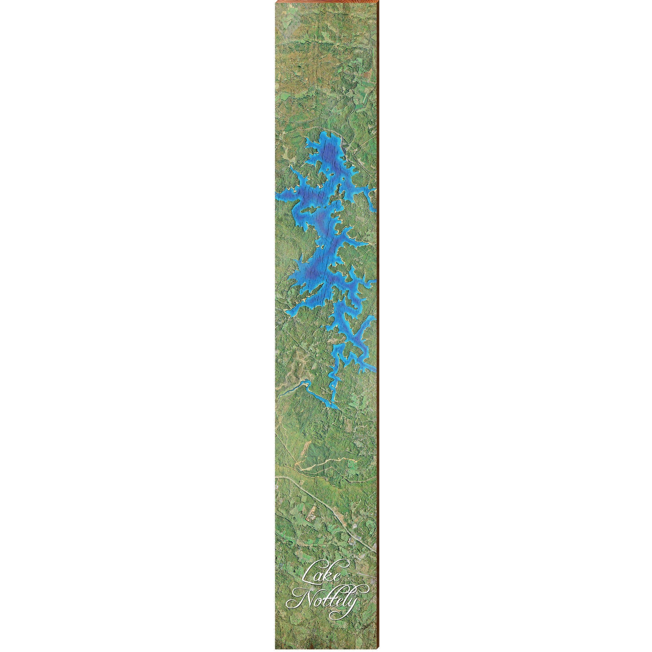 Lake Nottely, Georgia Satellite Styled Map Large Wall Art | Wall Art P