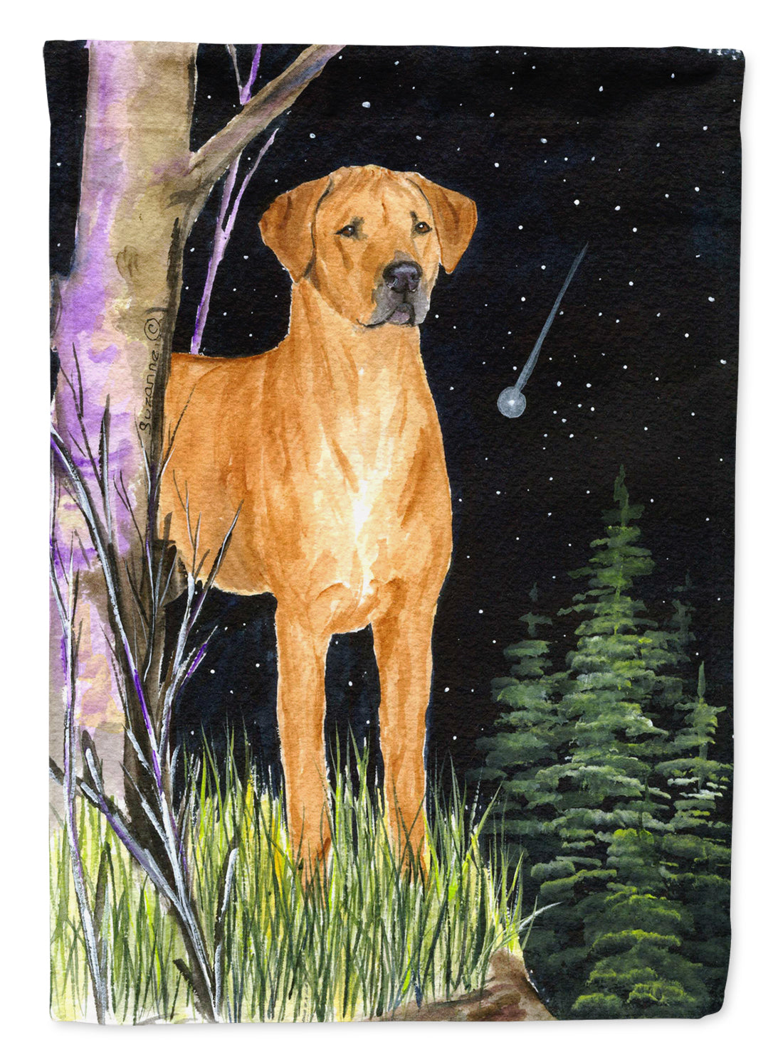 Starry Night Rhodesian Ridgeback Garden Flag - Outdoor Decorative Yard