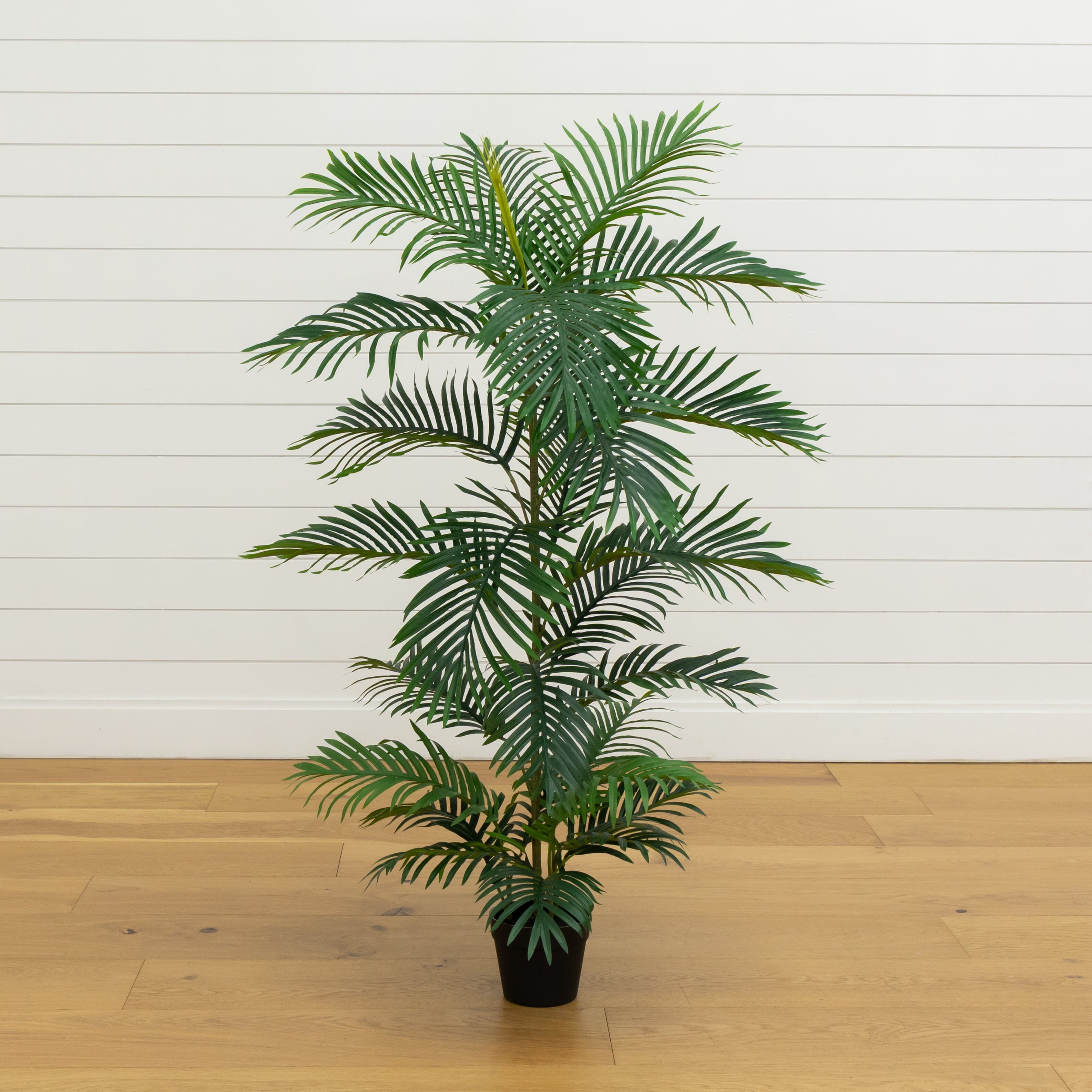 5’ Areca Artificial Palm Tree UV Resistant (Indoor/Outdoor)