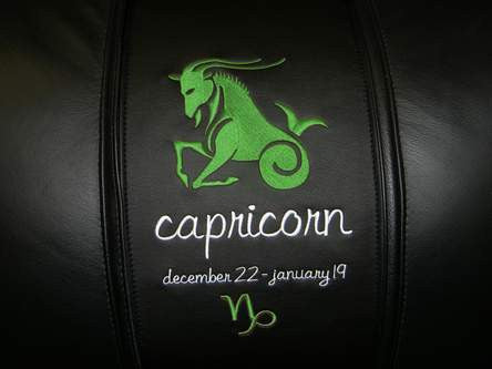 Capricorn Green Logo Panel