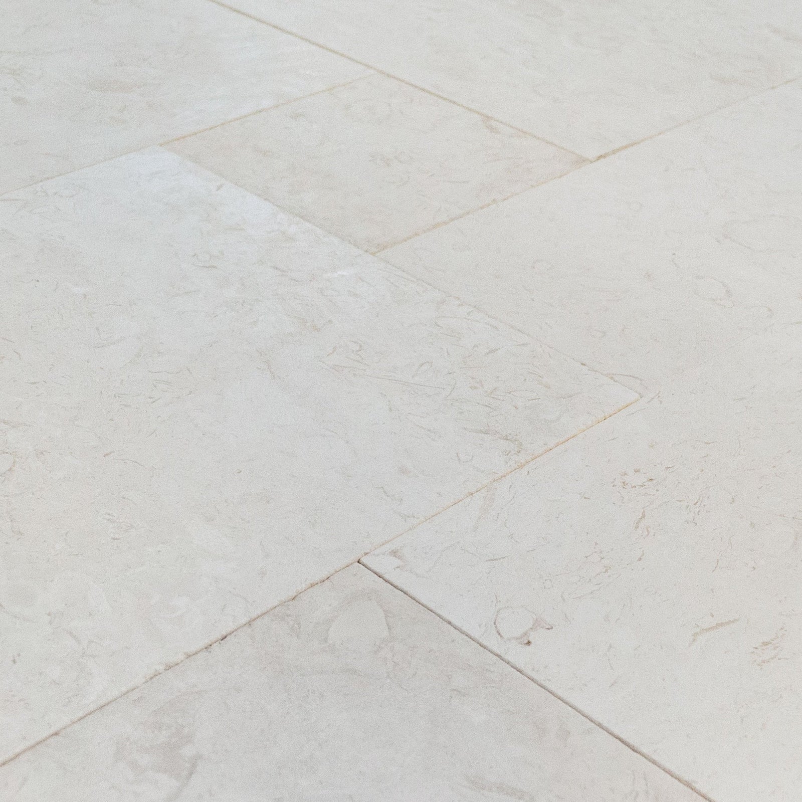 Shell Stone White Fossil Limestone Pattern Set Floor and Wall Tile